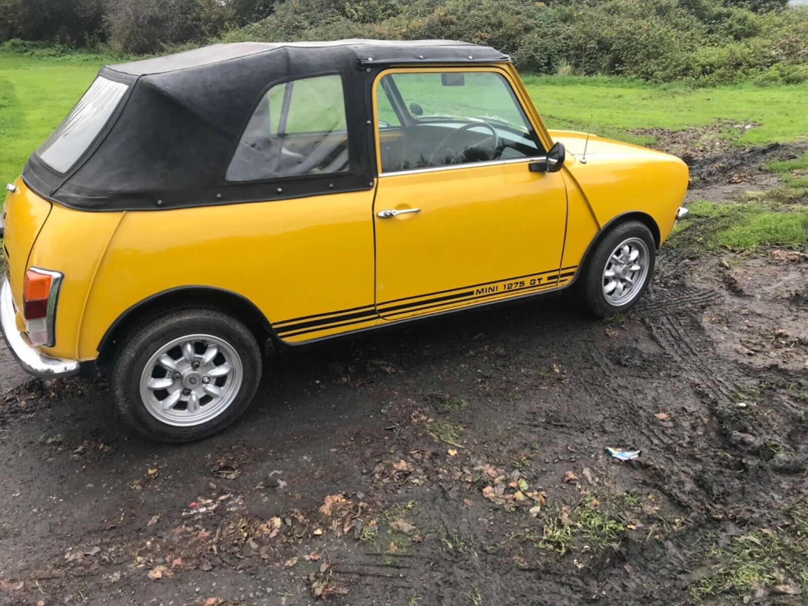 Classic mini clubman 1979 1275 gt - MINI Trader