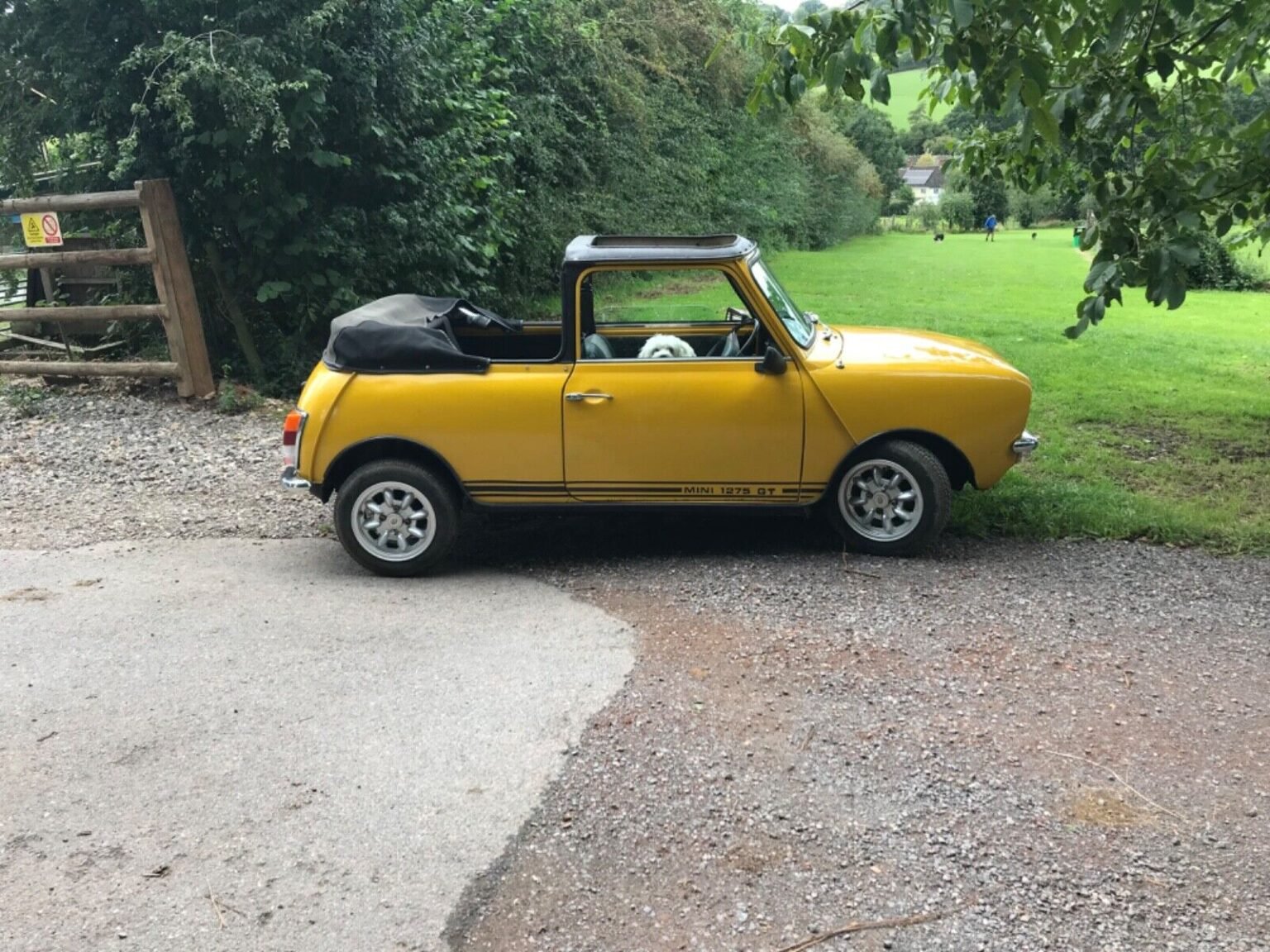 Classic mini clubman 1979 1275 gt - MINI TRADER