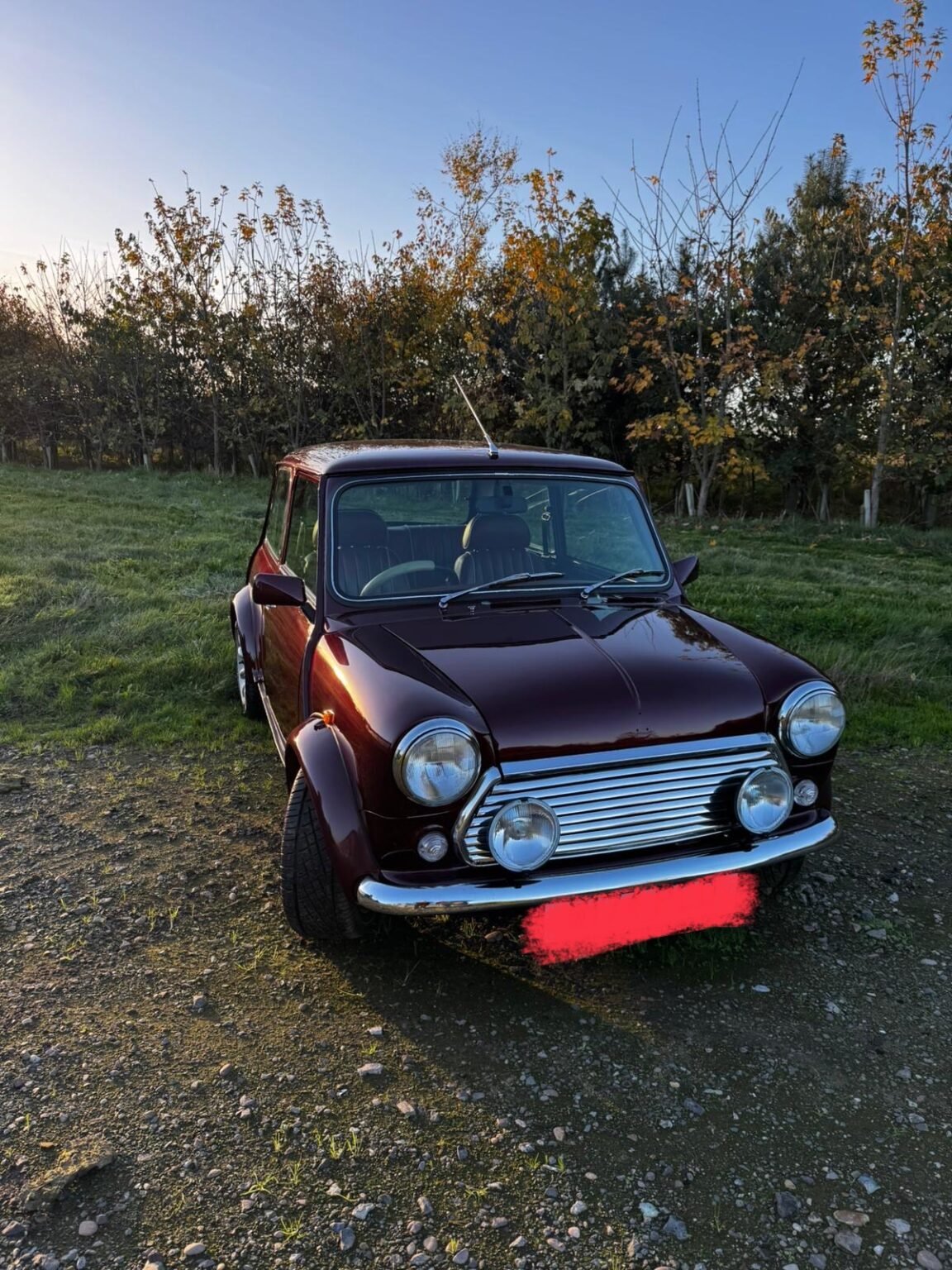Rover Mini 40th Anniversary Edition for Sale - MINI TRADER