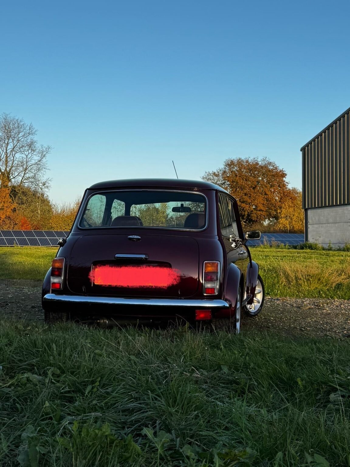 Rover Mini 40th Anniversary Edition for Sale - MINI TRADER